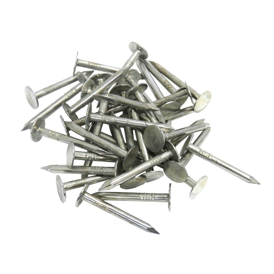 Clous électrogalvanisés de 1-1/2 po x calibre 10 à tête large pour ...