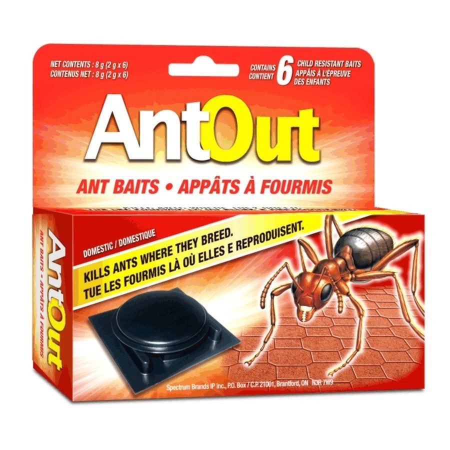 Paquet de 6 pièges à fourmis AntOut pour l'intérieur et l'extérieur