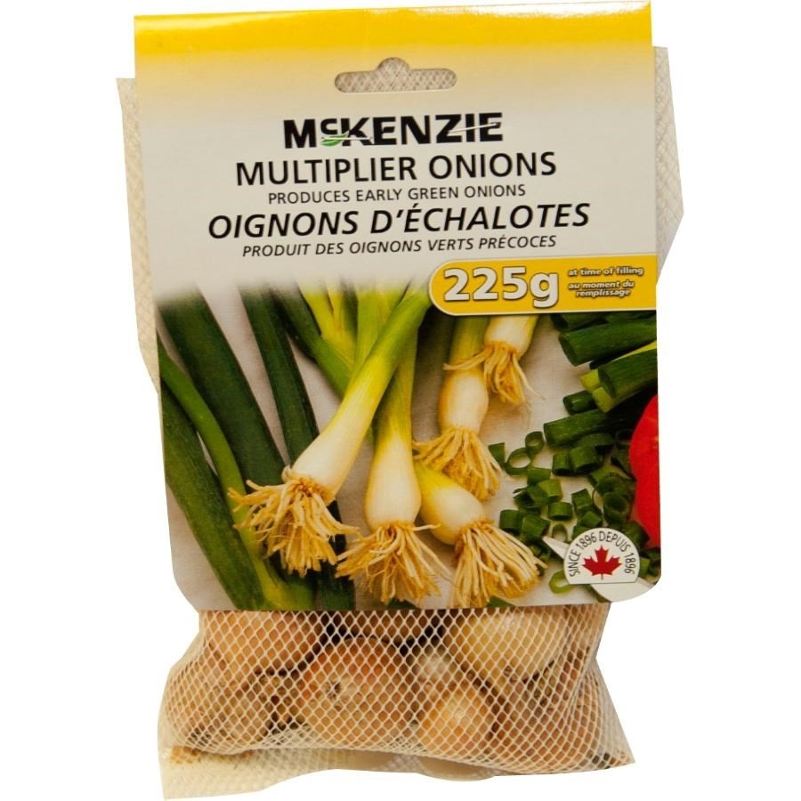 Bulbes d'oignons multiplicateurs, 225 g