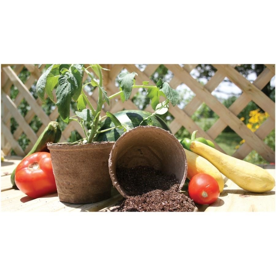 Paquet de 6 pots d'ensemencement ronds, 4 po