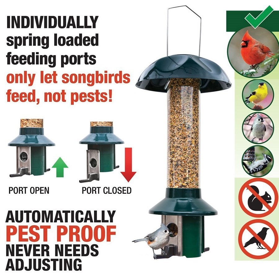 Mangeoire à oiseaux anti-animaux nuisibles, capacité de 3 lb