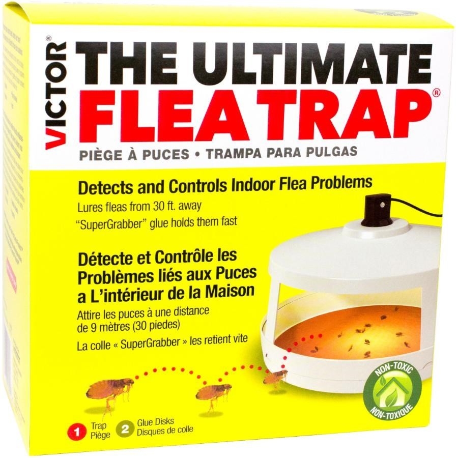 Piège à puces non toxique Ultimate